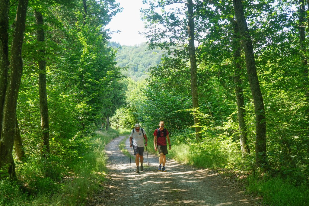 5 Unforgettable Hikes in The Belgian Ardennes - Wandering Wilma